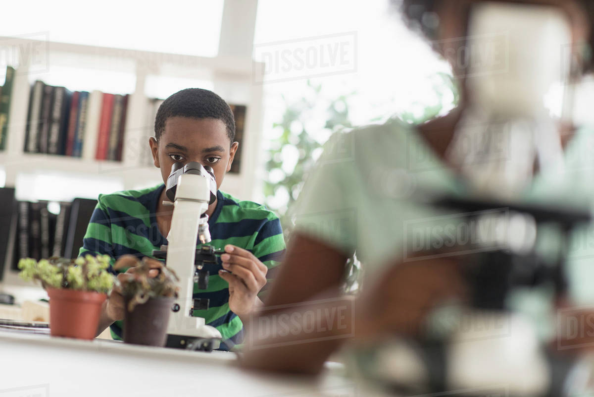 Black students using microscopes in science lab - Stock Photo - Dissolve