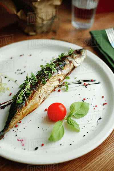 Gourmet fish on plate - Stock Photo - Dissolve