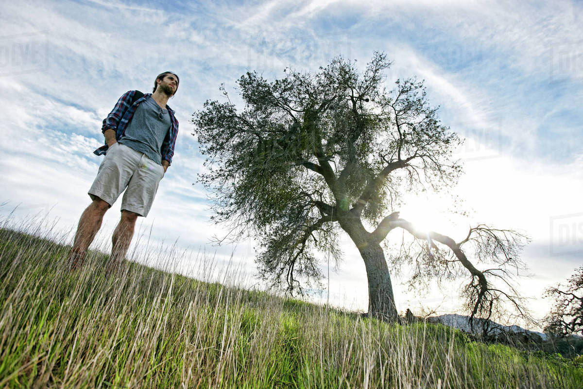 Caucasian man standing in field near tree - Royalty-free Stock Photo ...