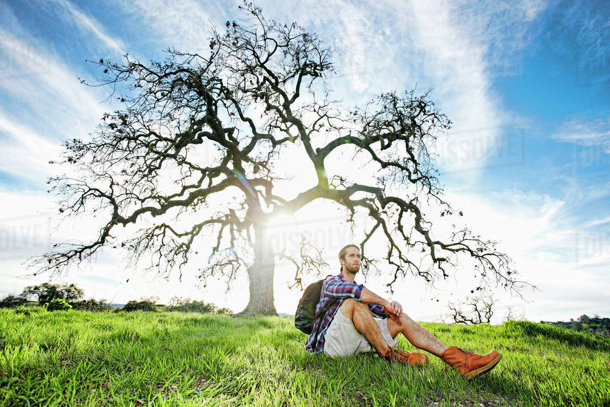 Caucasian man sitting in field near tree - Royalty-free Stock Photo ...