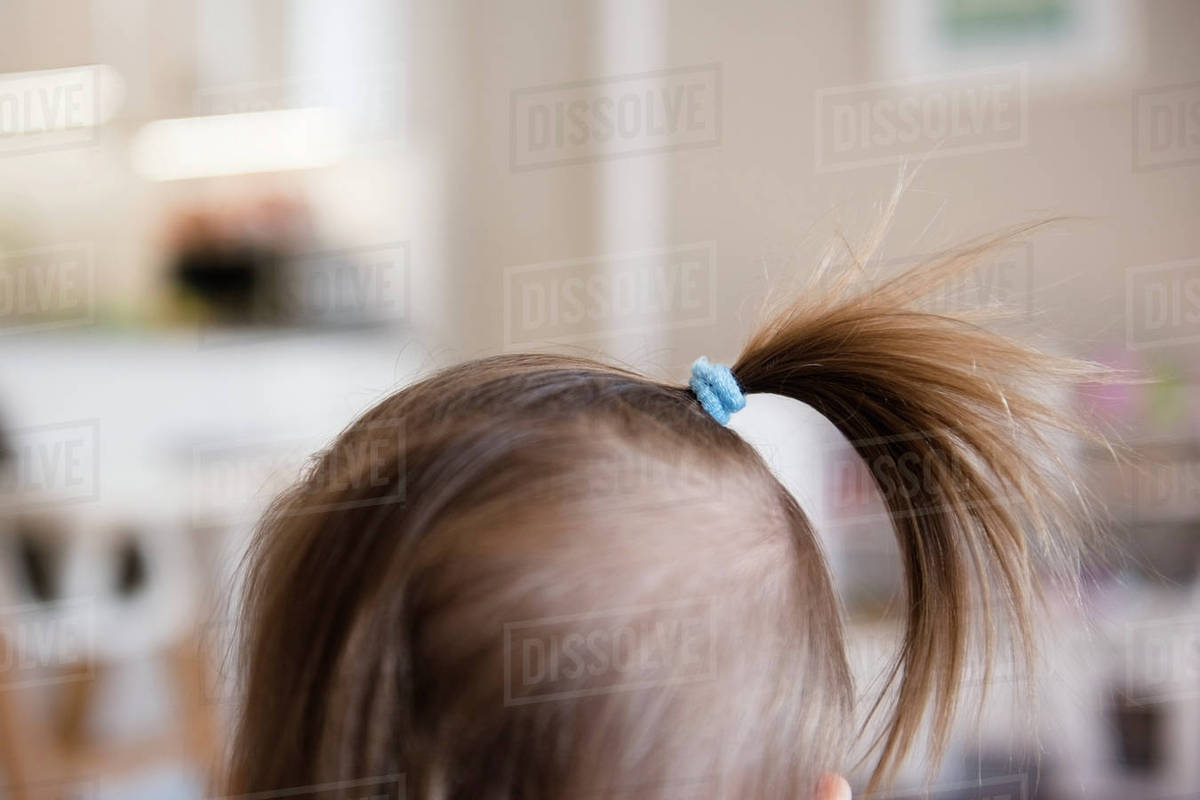Close up of ponytail of Caucasian baby girl - Royalty-free Stock Photo ...