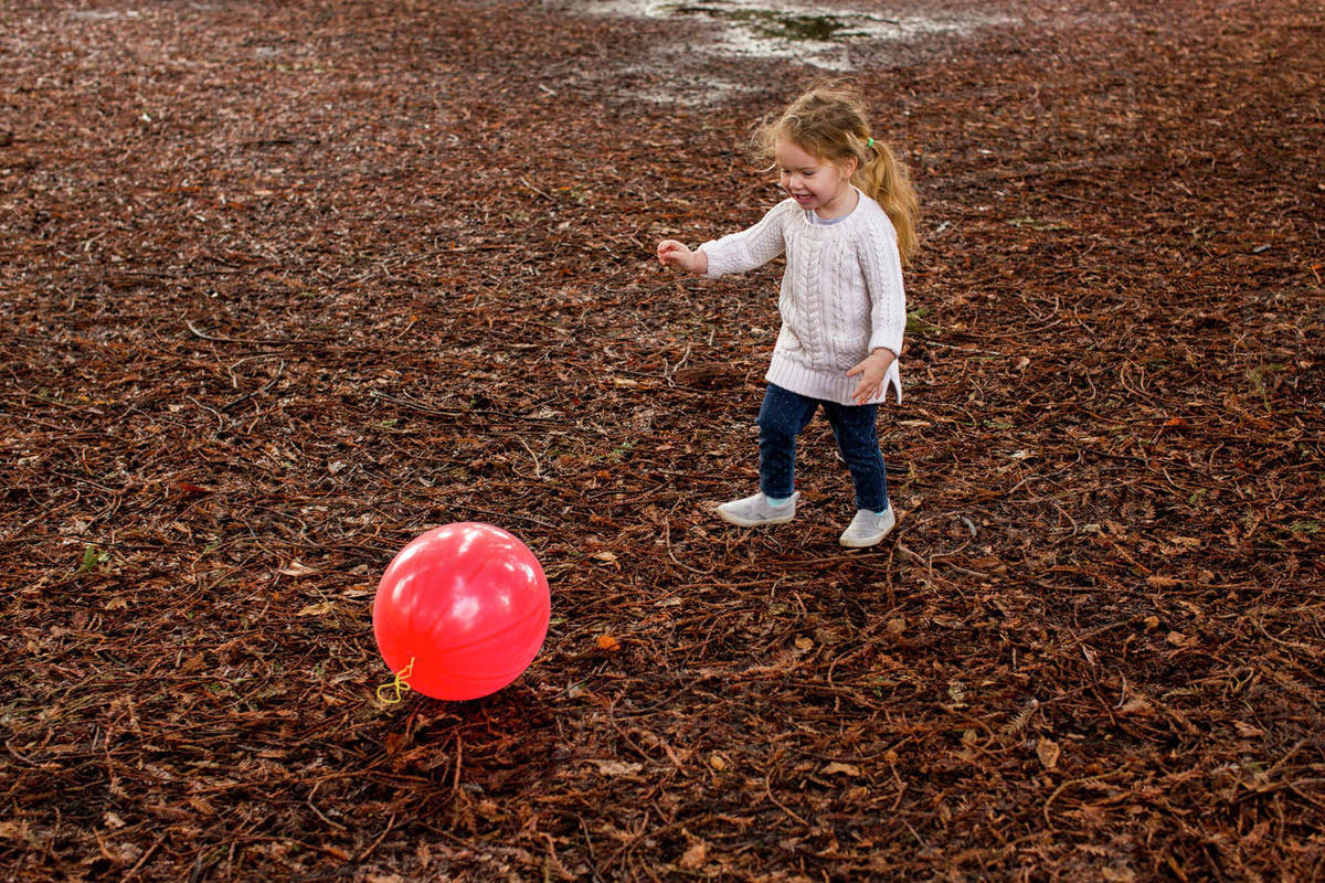 Caucasian girl playing with red ball in autumn - Stock Photo - Dissolve