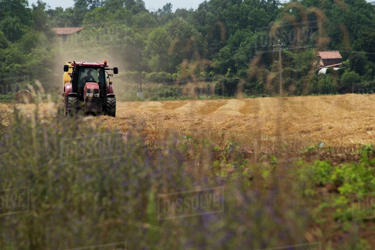 Tractor in field - Stock Photo - Dissolve