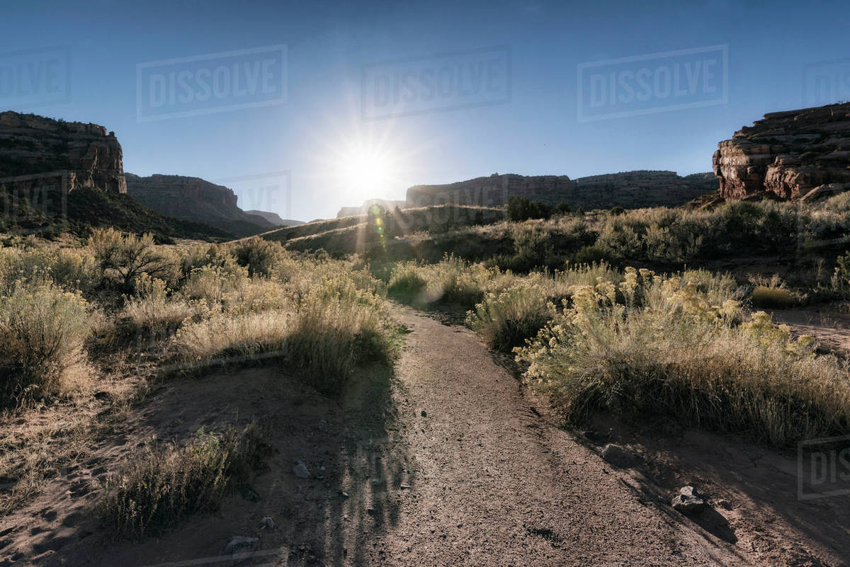 Sun in blue sky over desert - Stock Photo - Dissolve