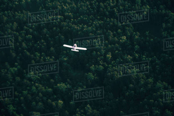 Aerial view of airplane flying over trees - Stock Photo - Dissolve