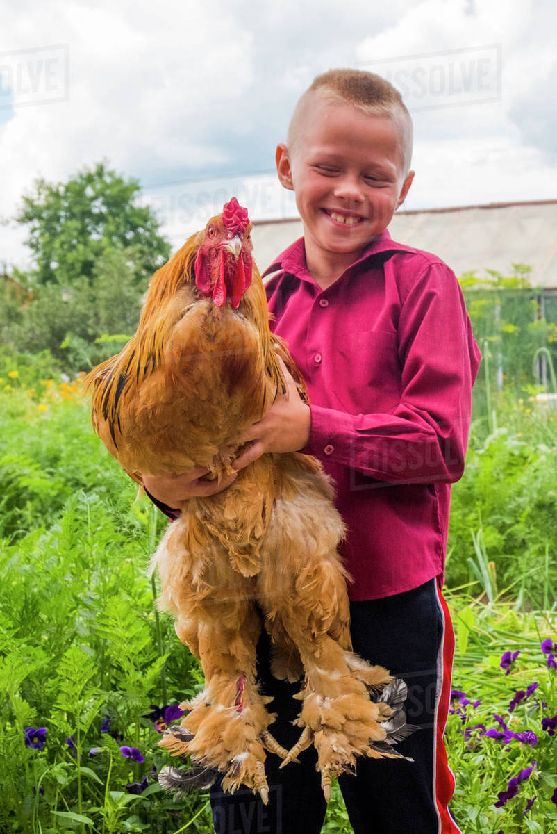 Caucasian boy holding rooster on farm - Royalty-free Stock Photo | Dissolve