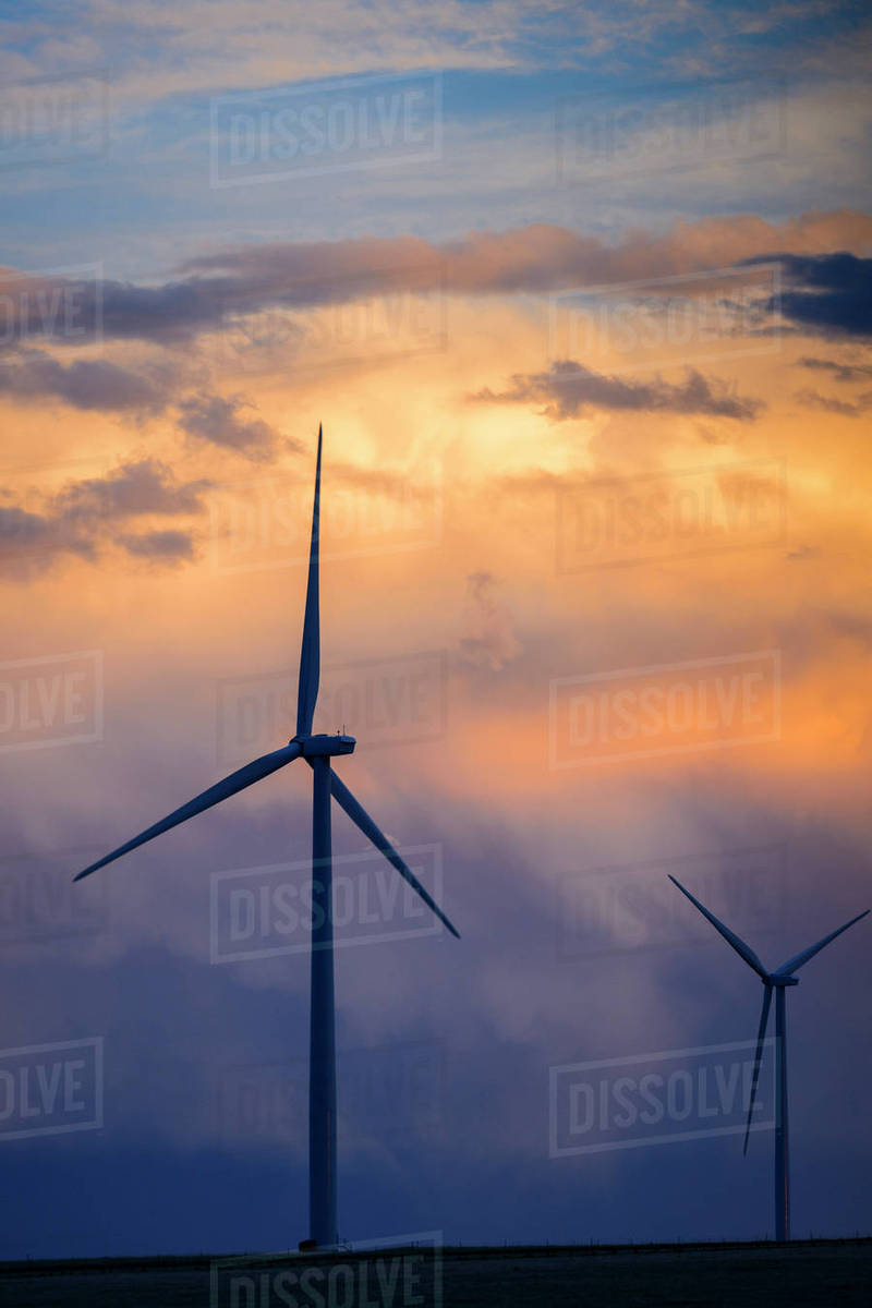 Wind turbines at sunset - Stock Photo - Dissolve