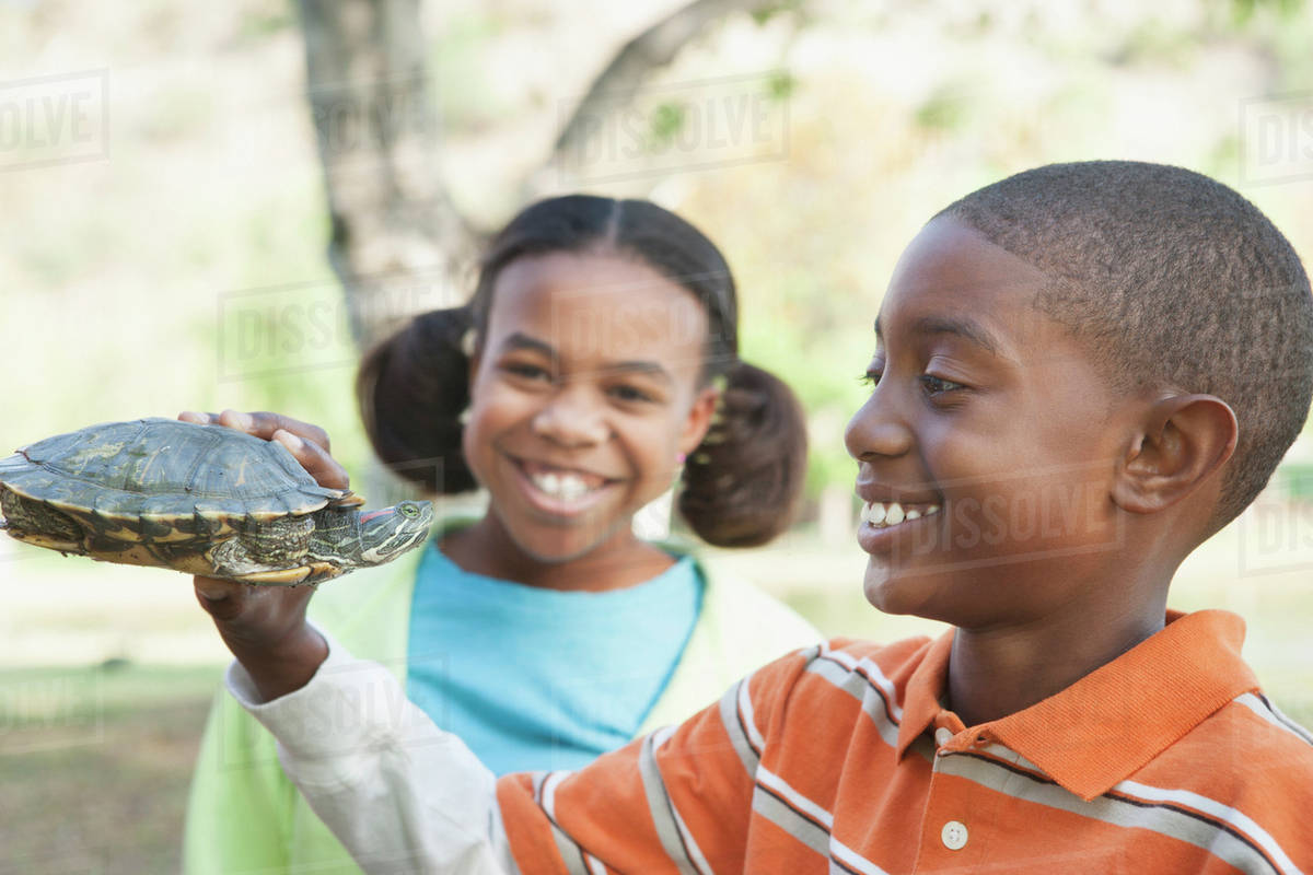 Children examining turtle in park - Stock Photo - Dissolve