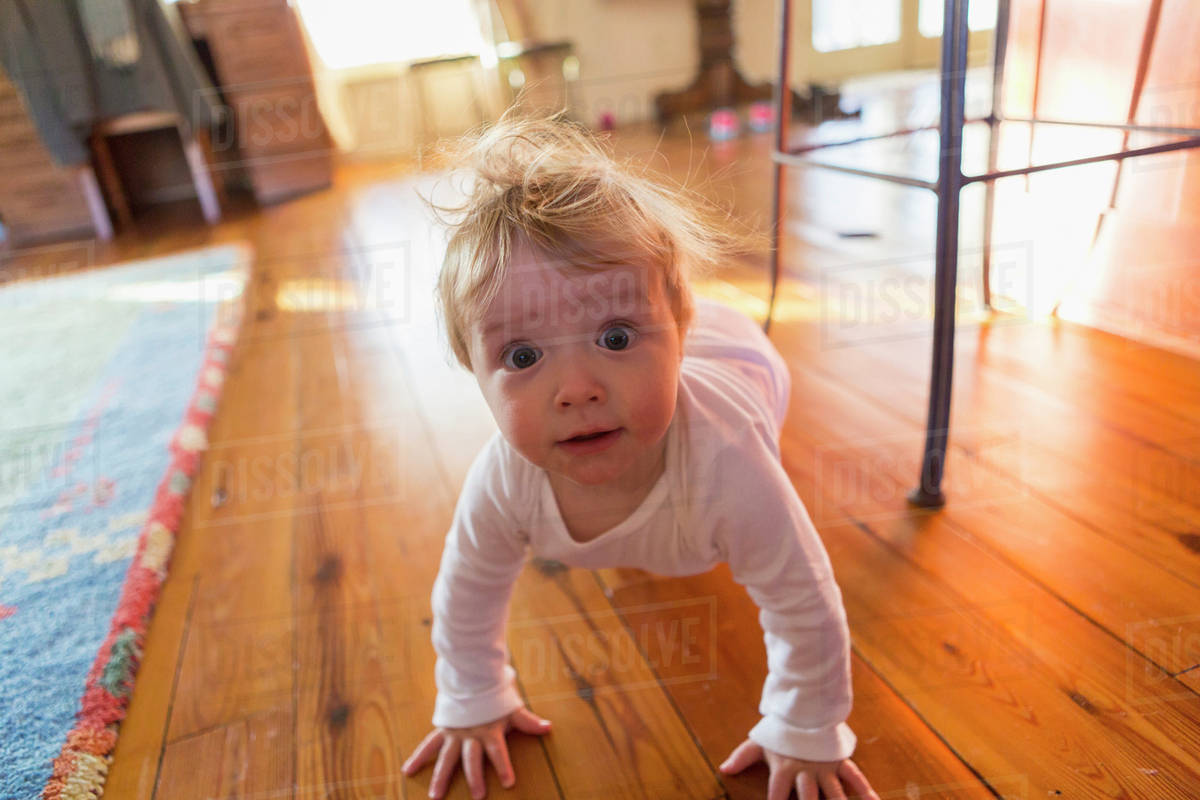 Caucasian baby crawling on floor - Royalty-free Stock Photo | Dissolve