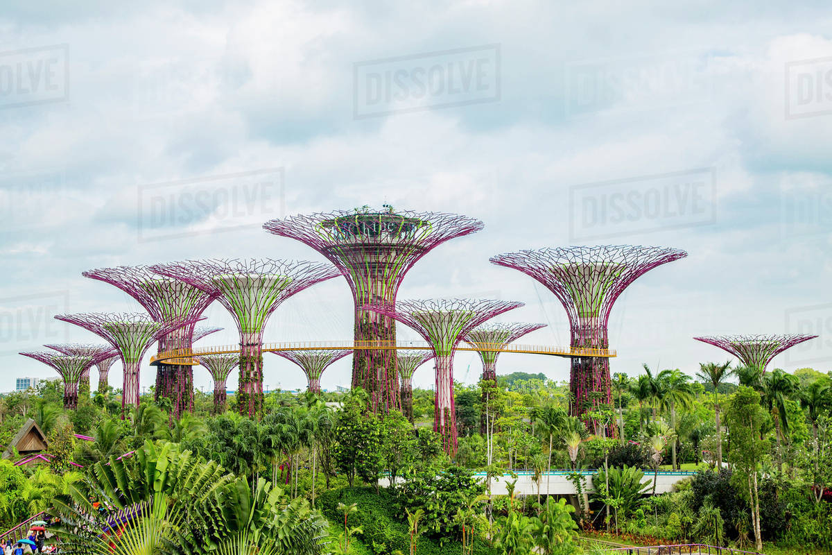 Electric Supertrees, Singapore, Republic of Singapore - Royalty-free ...