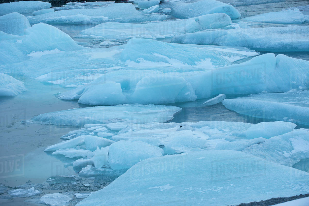 Glaciers floating in arctic water - Stock Photo - Dissolve