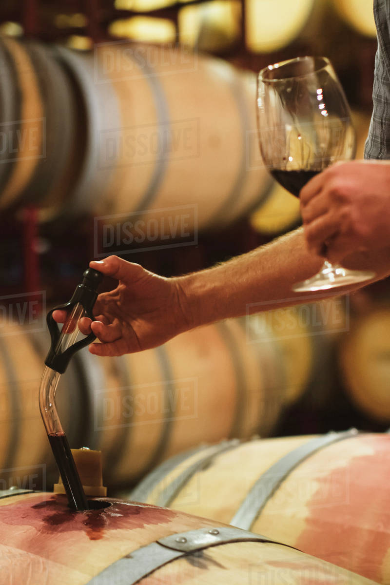 Caucasian man tasting wine - Royalty-free Stock Photo | Dissolve