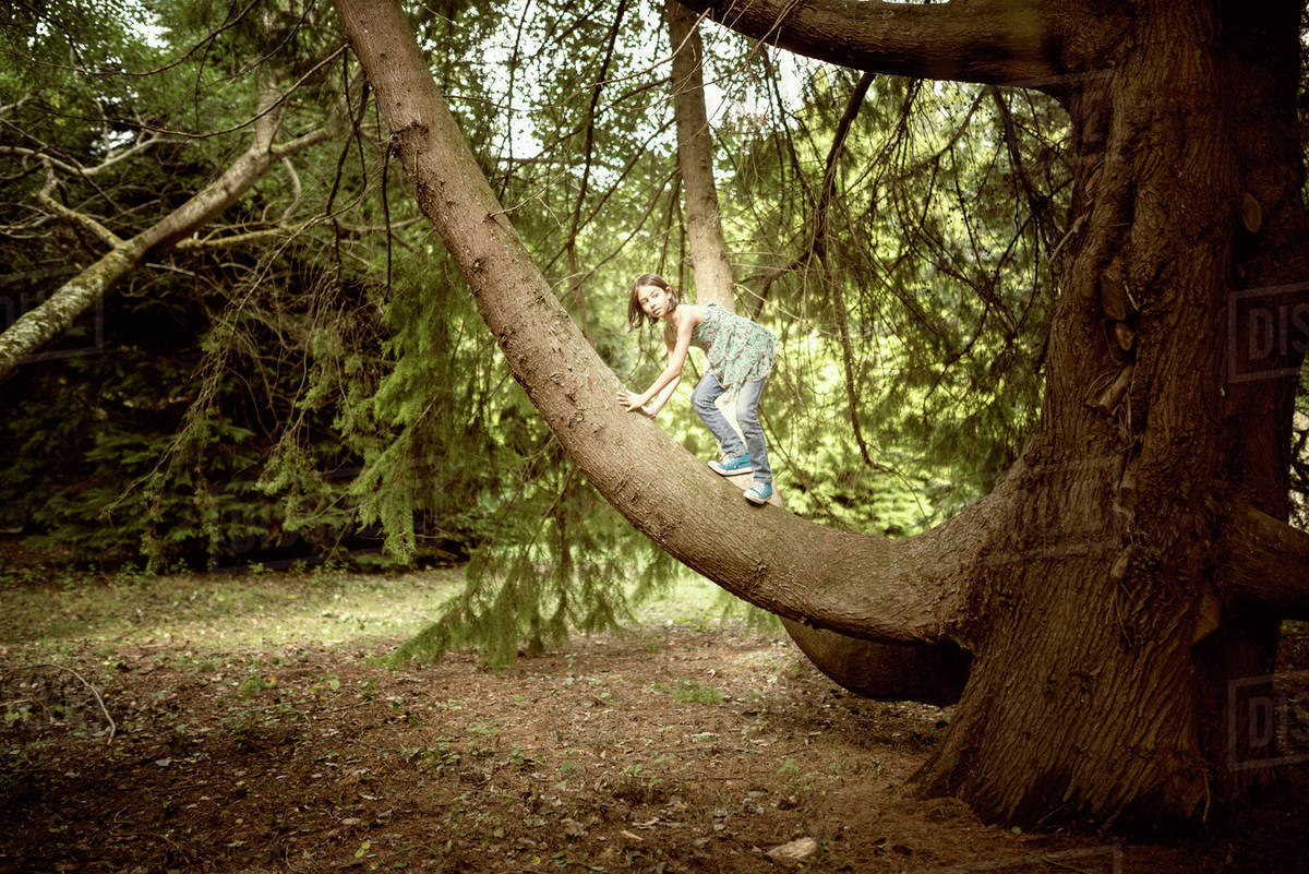 Mixed race girl climbing tree in forest - Royalty-free Stock Photo ...