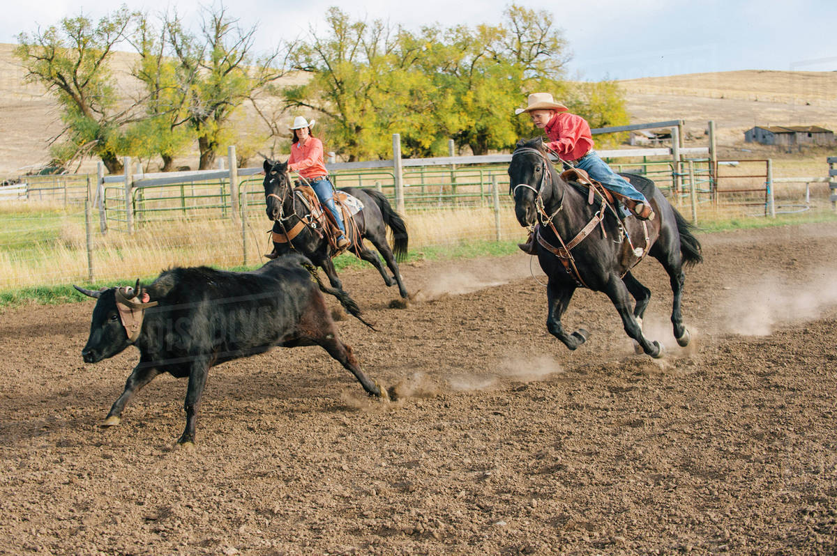 Caucasian boy chasing cattle at rodeo - Royalty-free Stock Photo | Dissolve