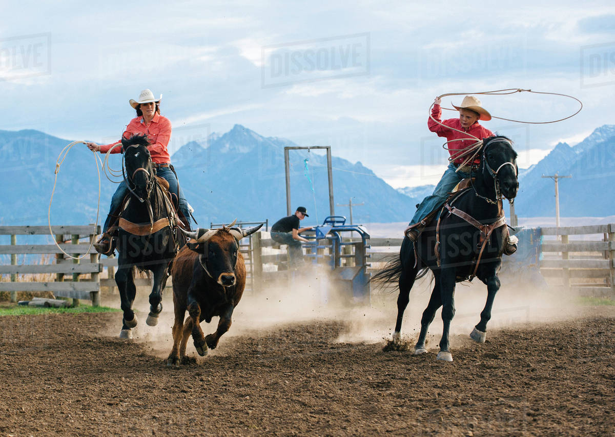 Caucasian mother and son chasing cattle at rodeo - Royalty-free Stock ...