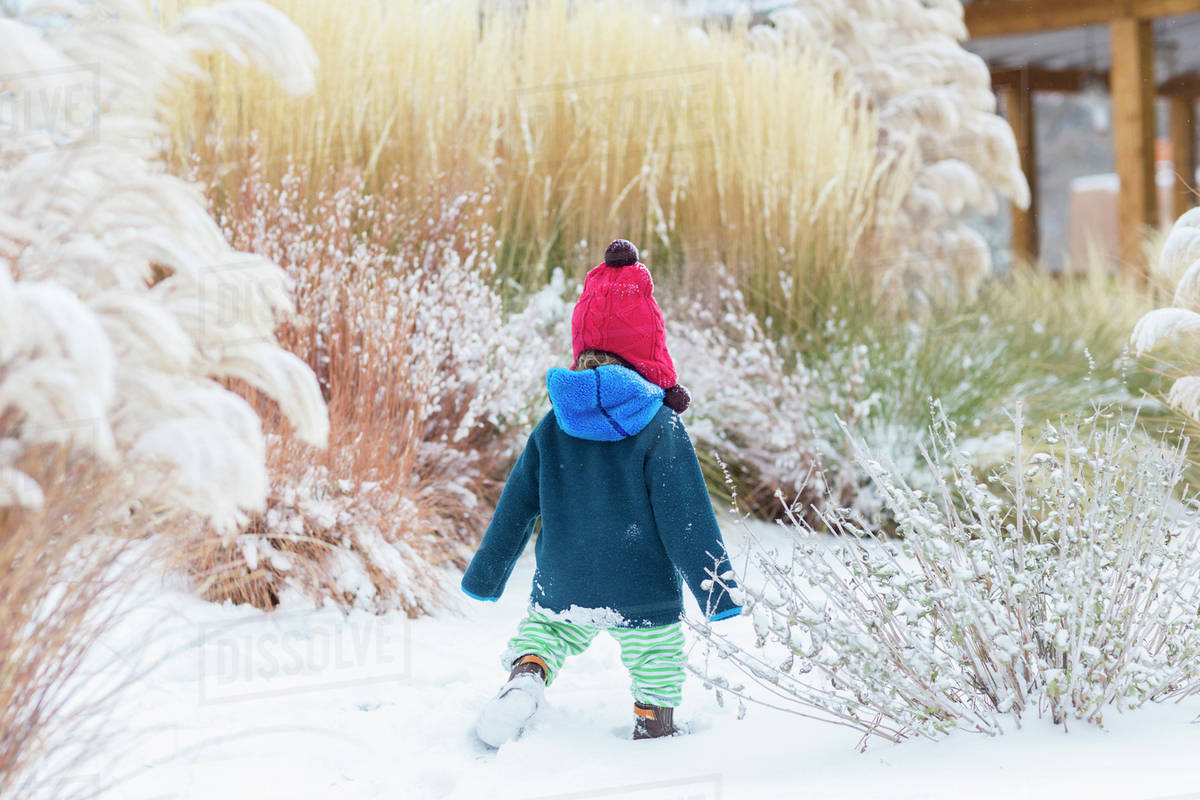 Caucasian baby boy walking in snowy garden - Stock Photo - Dissolve