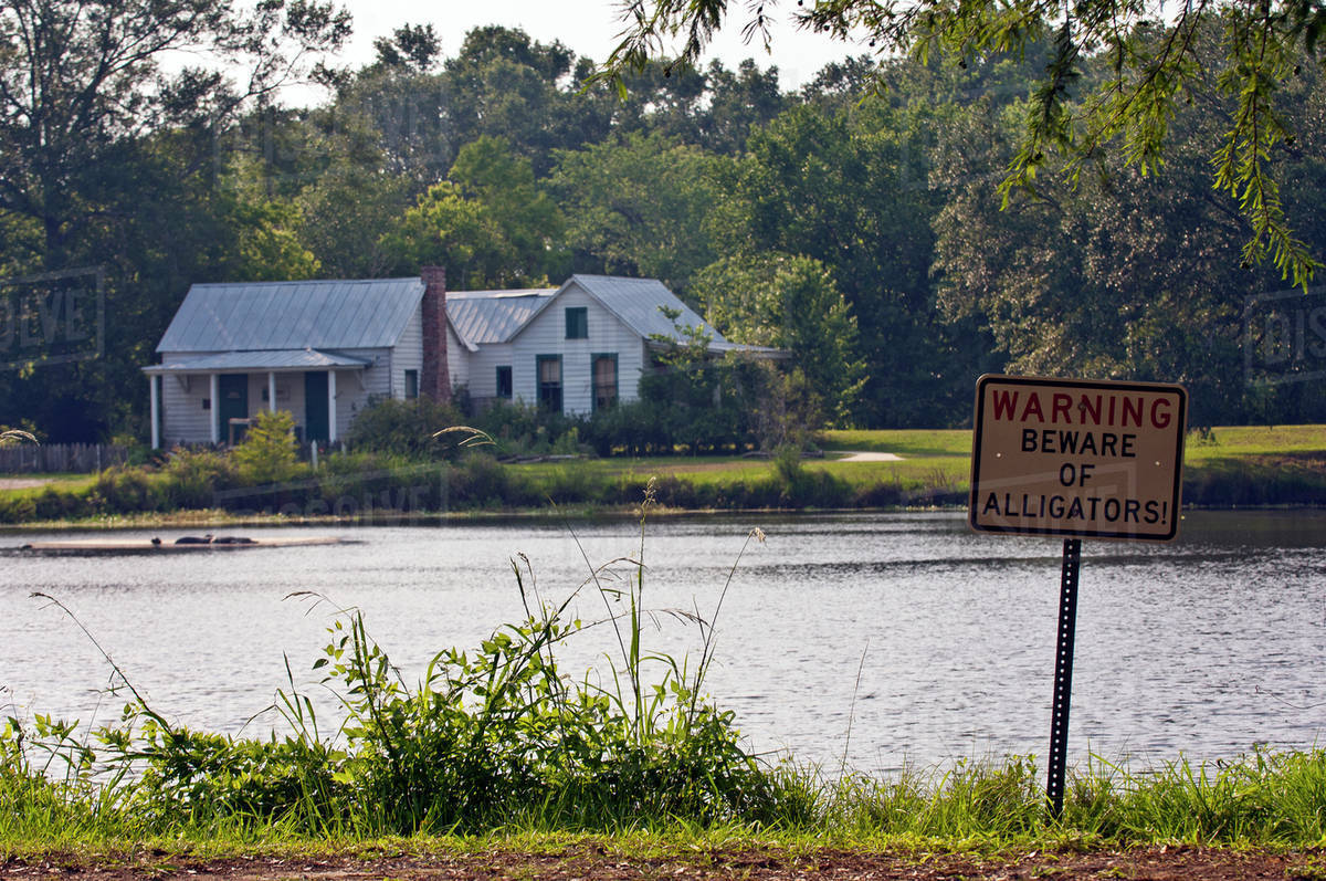 Home in Swampland - Royalty-free Stock Photo | Dissolve