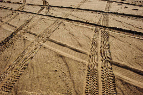 Tracks in . Sand - Royalty-free Stock Photo | Dissolve