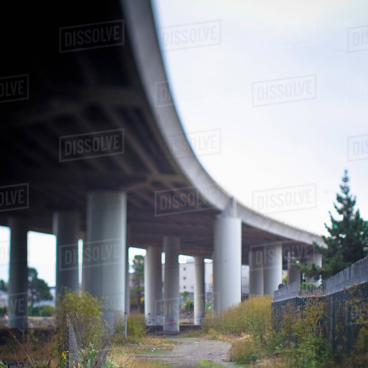 Columns Supporting Freeway Overpass - Stock Photo - Dissolve