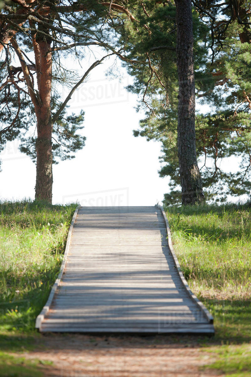 Wooden Footpath Through a Park - Royalty-free Stock Photo | Dissolve