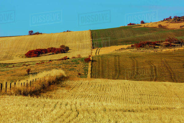 Rural landscape - Stock Photo - Dissolve