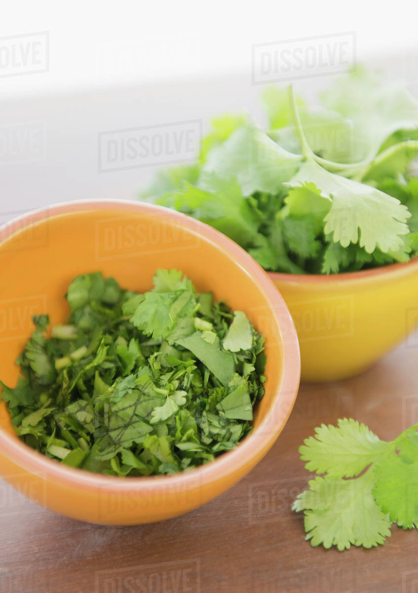 Chopped cilantro in bowl - Stock Photo - Dissolve
