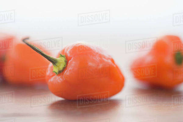 Close up of orange chili peppers - Stock Photo - Dissolve