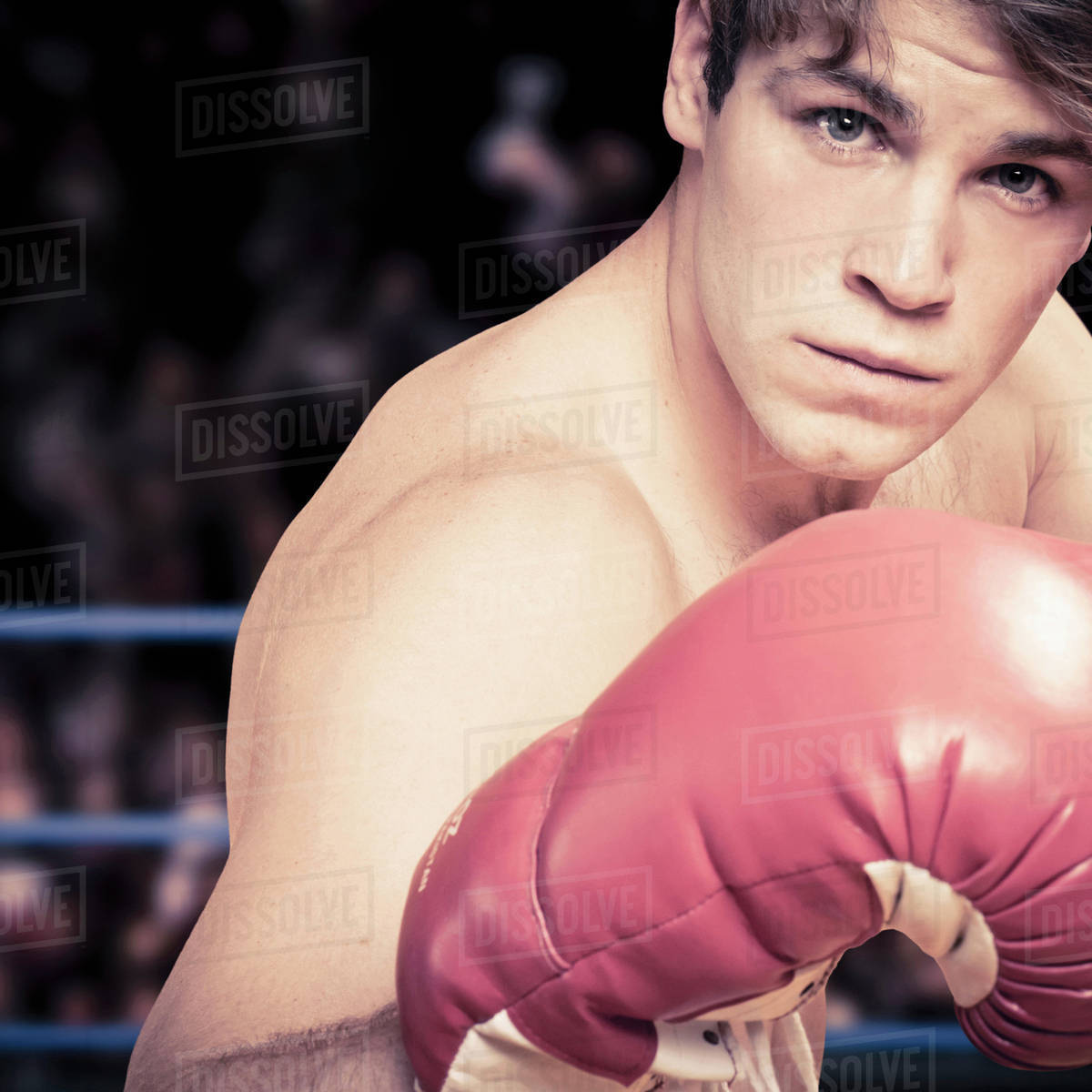 Caucasian boxer with fists raised - Royalty-free Stock Photo | Dissolve