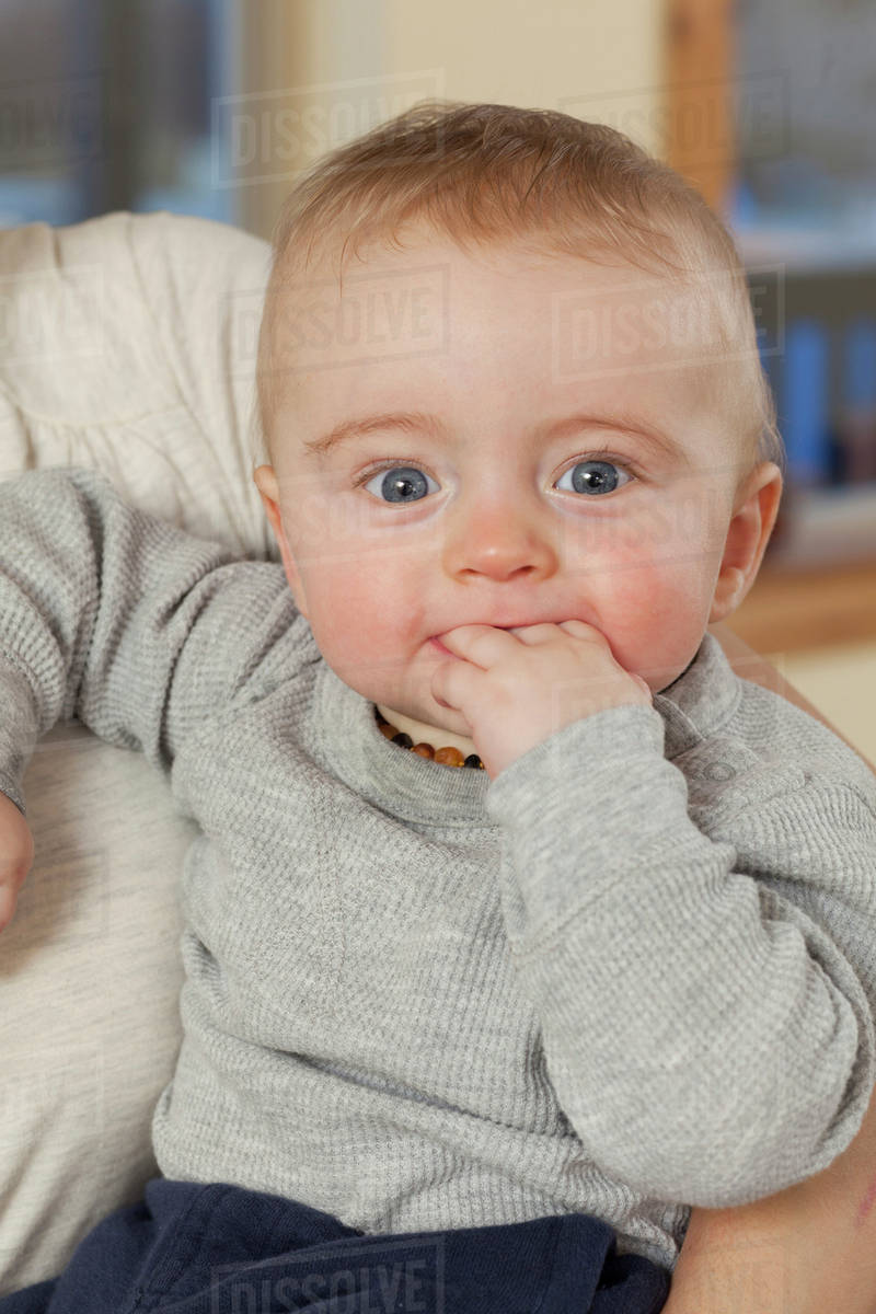 Caucasian baby chewing fingers - Stock Photo - Dissolve