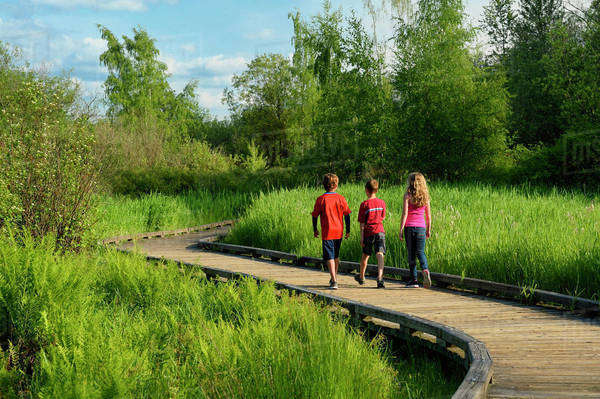Children walking on wooden walkway in wetland marsh - Royalty-free ...