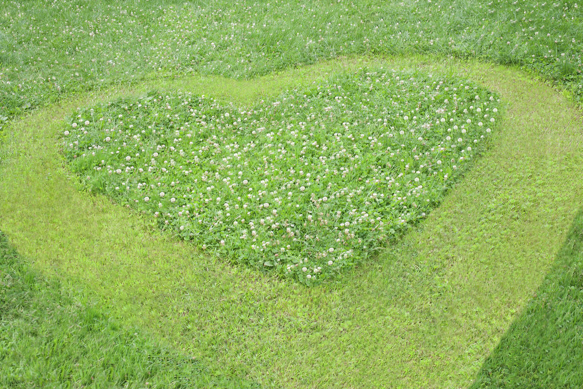 High angle view of heart mowed in grass lawn - Royalty-free Stock Photo ...