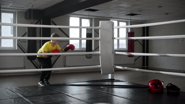 Little boy in boxing gloves jumping into the ring and starts hitting ...