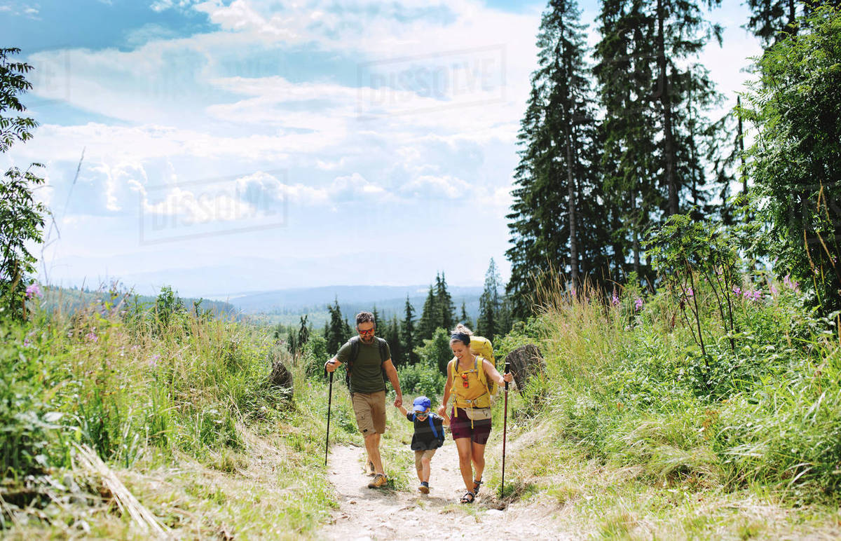 Front view of family with small son hiking outdoors in summer nature ...