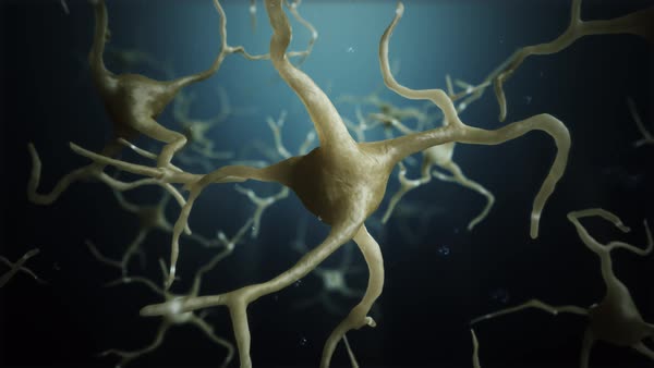 Loop of neuron cells firing - Stock Video Footage - Dissolve