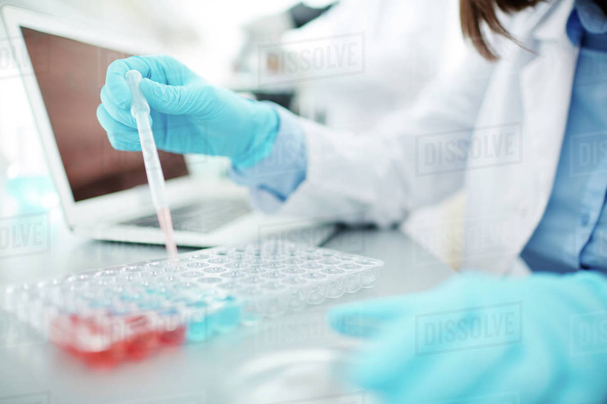 Scientist using pipette in a laboratory - Royalty-free Stock Photo ...