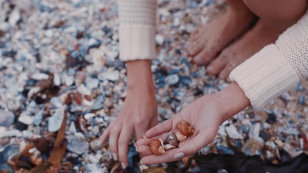 Close up woman hands collecting seashells on beach enjoying beautiful ...