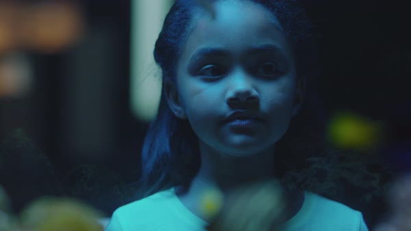 Curious girl looking at fish in aquarium child watching colorful sea ...