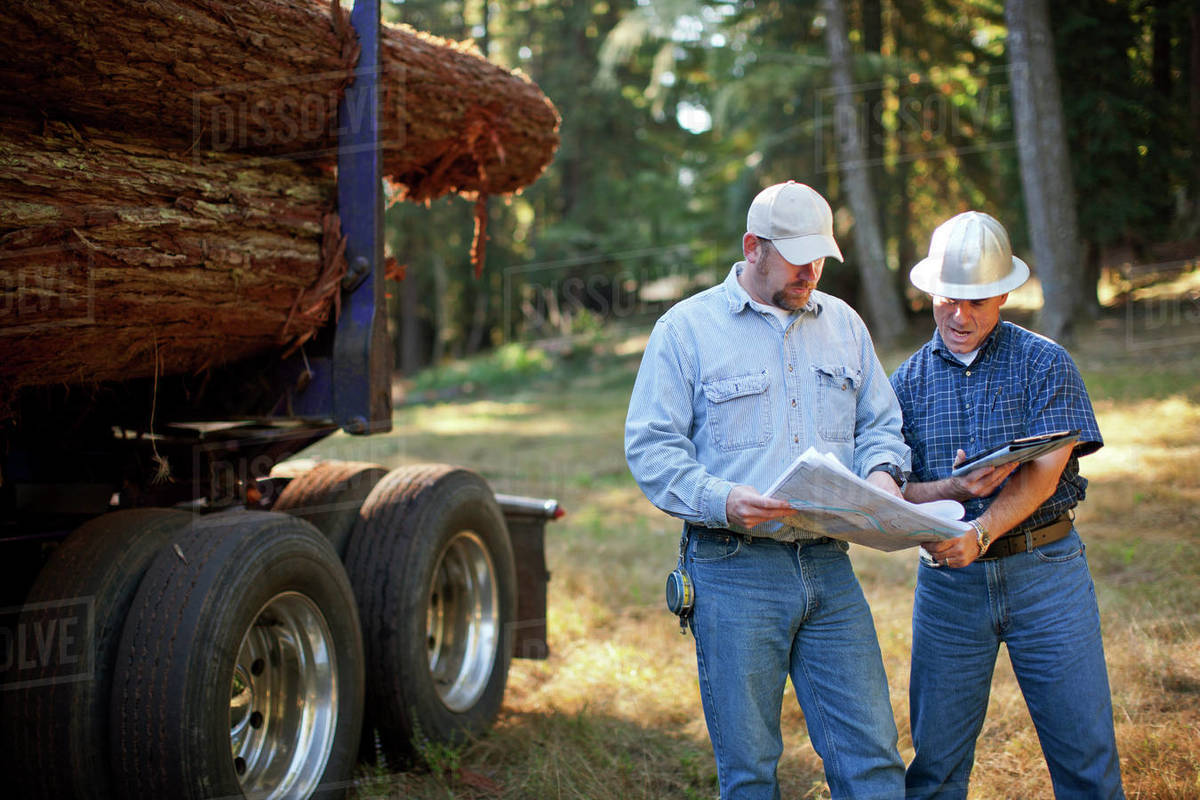 Two loggers looking at a map in a forest. - Royalty-free Stock Photo ...