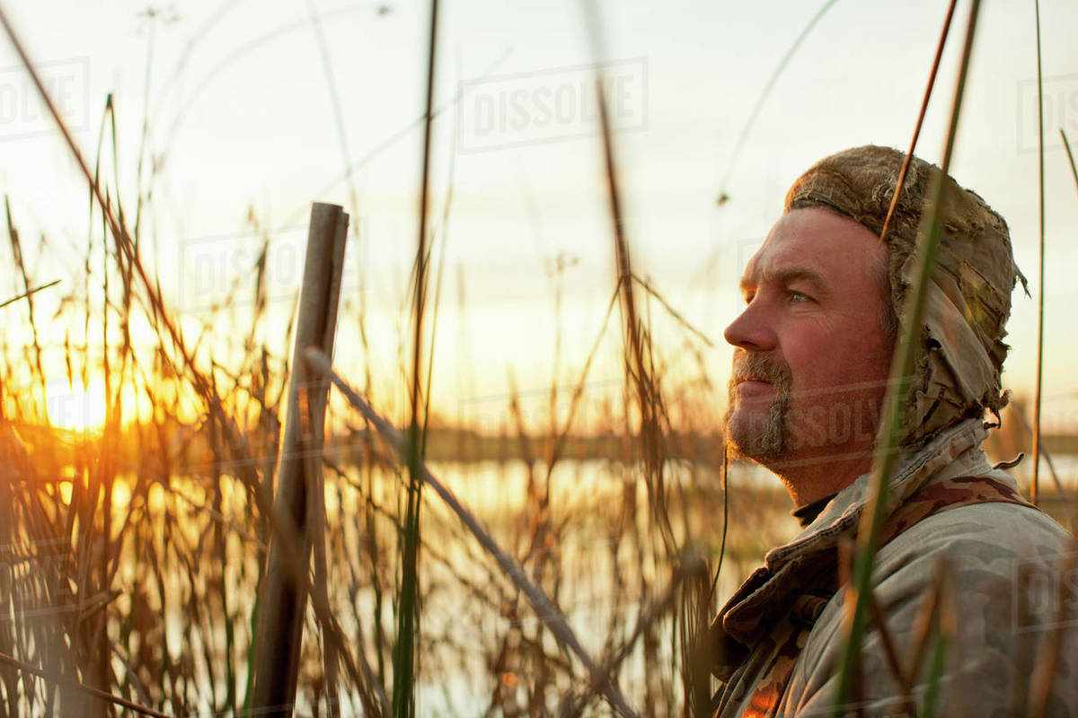 Mid-adult man hiding in reeds near a lake while duck hunting. - Royalty ...