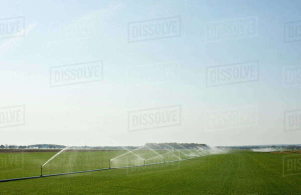Irrigation on an expansive field. - Stock Photo - Dissolve