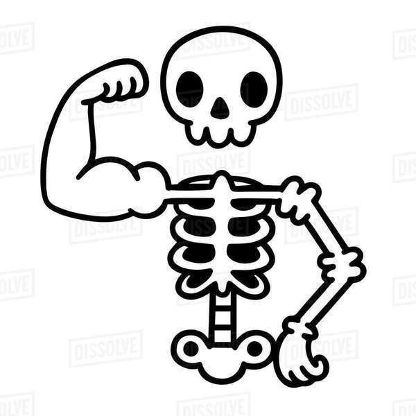 Illustration of a skeleton showing biceps - Royalty-free Stock Photo ...