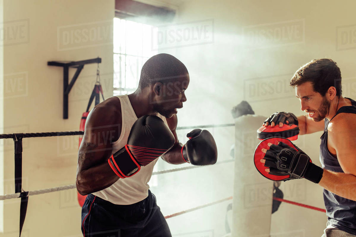 Boxing instructor training male fighter with shaved head in gym with ...