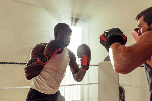 Fighter training with partner in boxing ring at gym with sunburst light ...