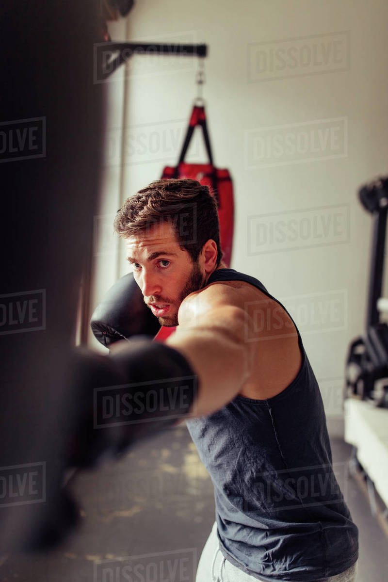 Muscular boxer strikes with one gloved fist while guarding his face ...