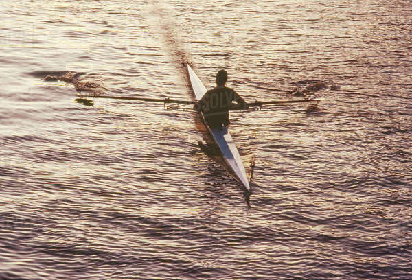 Rower in single skull rowing on calm water - Royalty-free Stock Photo ...