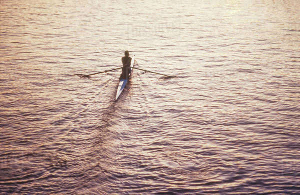 Rower in single skull rowing on calm water - Royalty-free Stock Photo ...