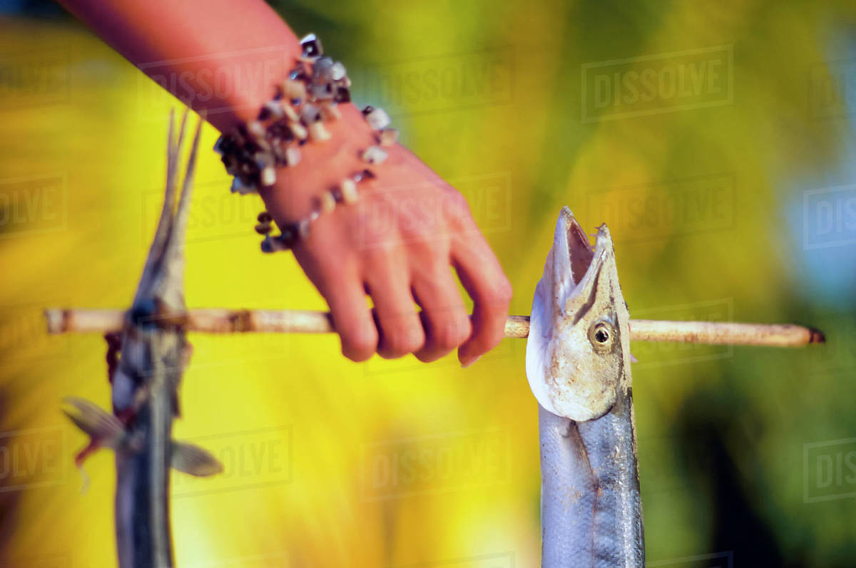 Woman's hand holding stick with fresh caught fish ready for cooking ...