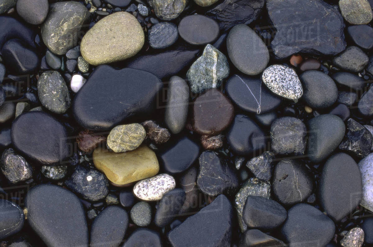 Close-up of rounded pebbles - Stock Photo - Dissolve