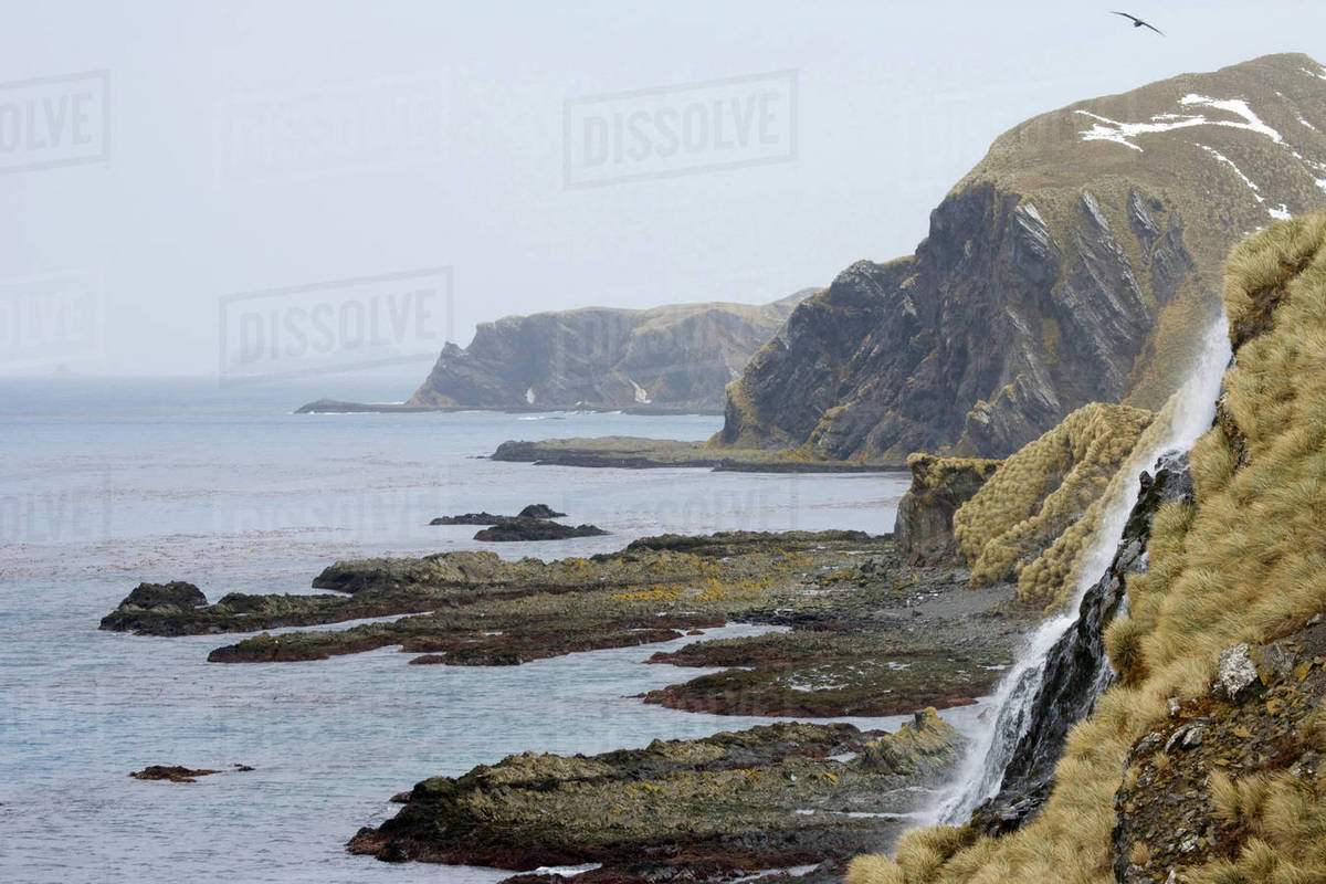 Waterfall falling into the sea, Right Whale Bay, South Georgia Island ...