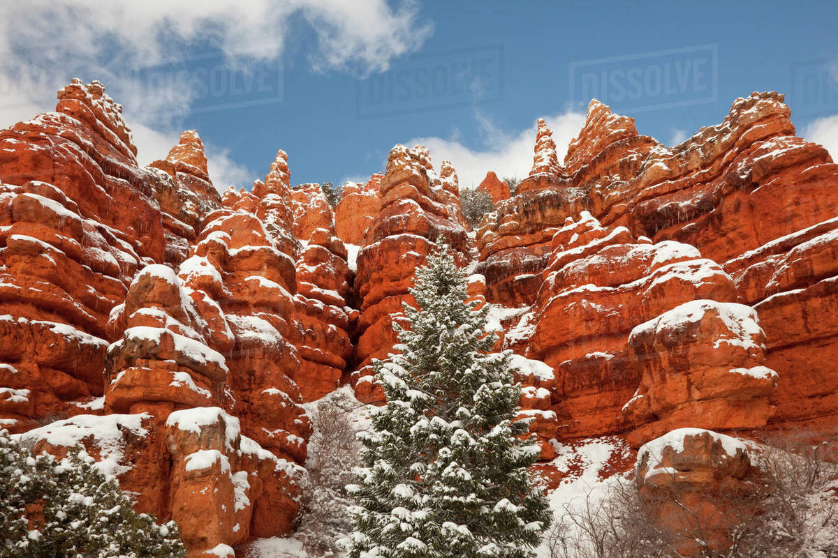 Low angle view of snowy rocks, Red Canyon State Park, Utah, USA ...